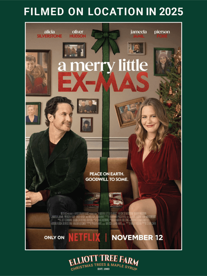 Elliott Tree Farm Netflix Movie Feature in A Merry Little Ex-Mas