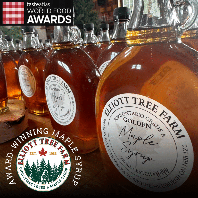 Best Maple Syrup in the World | Elliott Tree Farm Early Harvest Golden